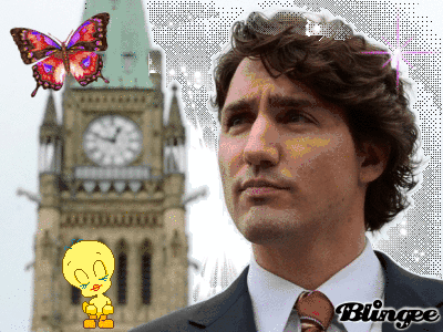 Justin trudeau GIF - Find on GIFER