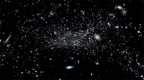 GIF oakland - animated GIF on GIFER