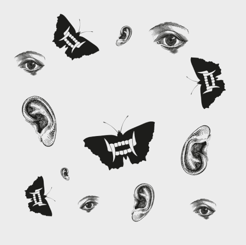 Various GIF - Find on GIFER