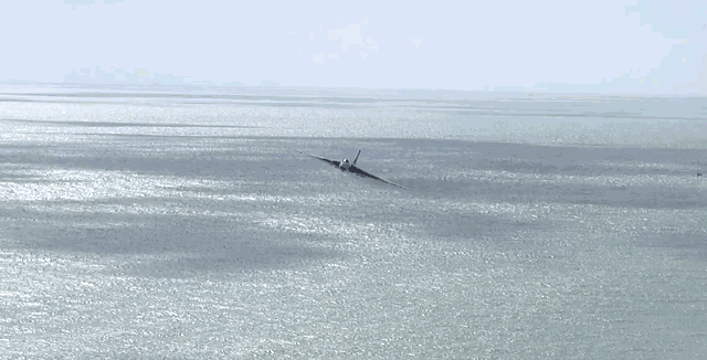 Shaq Shimmy Gif Tumblr