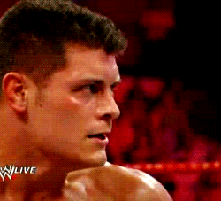 GIF wwe wrestling teddy - animated GIF on GIFER