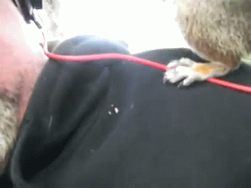 Water flashing GIF - Find on GIFER