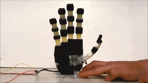 Prosthetics GIF - Find on GIFER