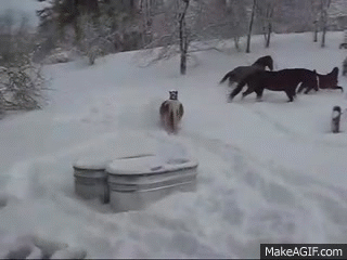 Gif Animado De Tormenta De Nieve Mira Los Vientos, Las Lluvias Y El