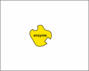 Bacteria GIF - Find on GIFER