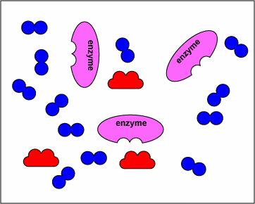 Bacteria GIF - Find on GIFER