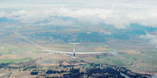 Fsog GIF - Find on GIFER