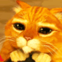 GIF ginger - animated GIF on GIFER