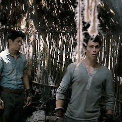 The maze runner GIF - Find on GIFER