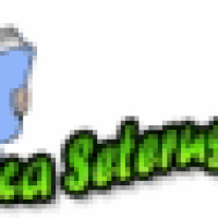 Lari GIF - Find on GIFER