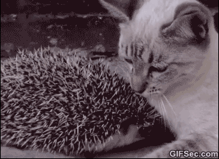 Snuggle GIF - Find on GIFER