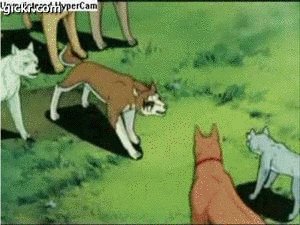 Ginga GIF - Find on GIFER