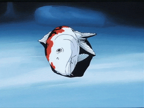 Fish mooney GIF - Find on GIFER