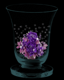 Sparkling GIF - Find on GIFER