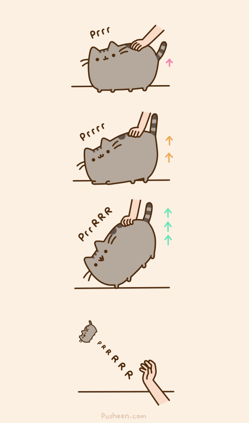 Pusheen GIF - Find on GIFER