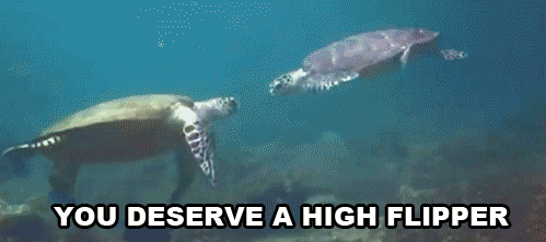 Christian lucatero GIF - Find on GIFER