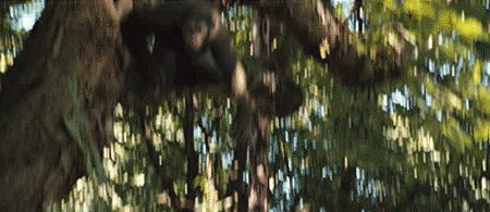 Zimmerman GIF - Find on GIFER