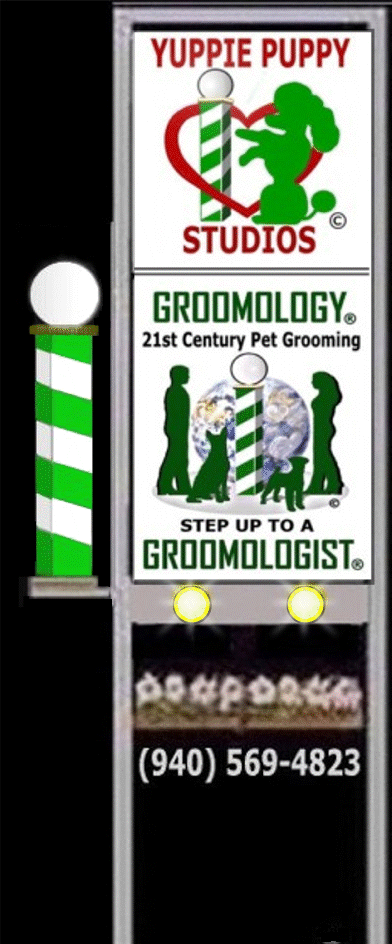 Picture enya GIF - Find on GIFER