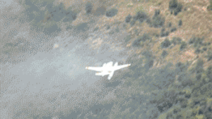 Wildfire GIF - Find on GIFER
