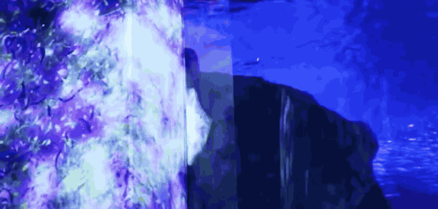 Interactive GIF - Find on GIFER