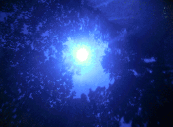 Suns GIF - Find on GIFER