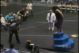 Wwc GIF - Find on GIFER