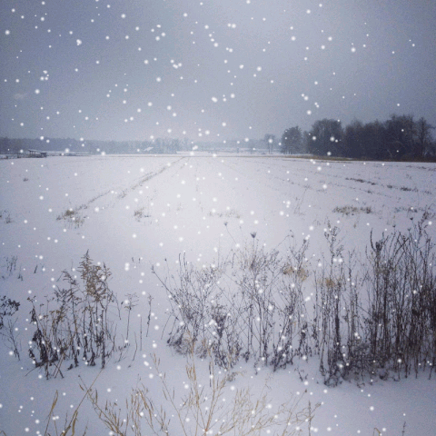 Outside GIF - Find on GIFER