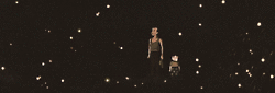 Fireflies GIF - Find on GIFER