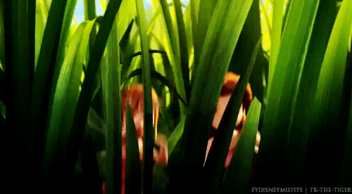 Broken GIF - Find on GIFER