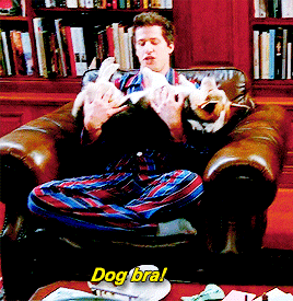 GIF b99 b99edit andy samberg - animated GIF on GIFER