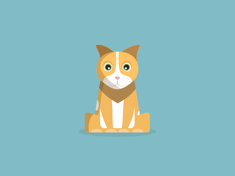 GIF meow - animated GIF on GIFER