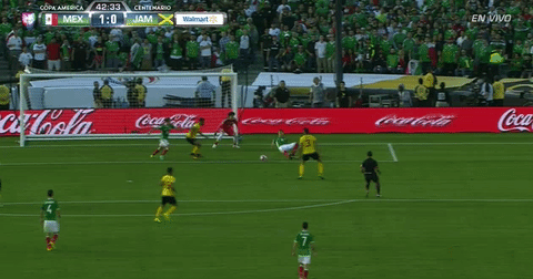 Fail best horse GIF - Find on GIFER