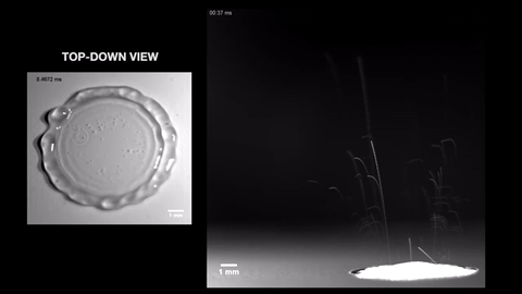 Raindrops science GIF - Find on GIFER