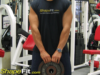 Biceps GIF - Find on GIFER