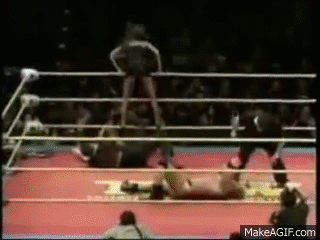 GIF vagina - animated GIF on GIFER