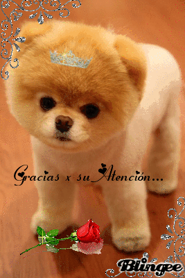 Su GIF - Find on GIFER