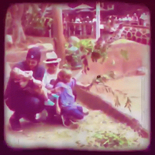 Rajkumar rao bollywood high five GIF on GIFER - by Hugidar