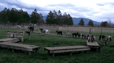 Weekend update GIF - Find on GIFER