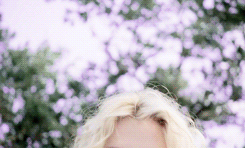 Misty day GIF - Find on GIFER