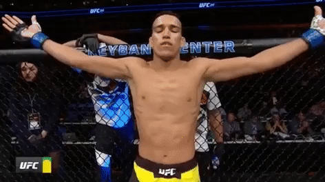 GIF ufc mma ufc 210 - animated GIF on GIFER