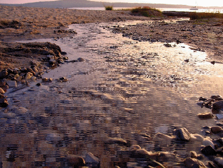 GIF rivers edge - animated GIF on GIFER