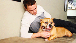 Jonathan toews chicago blackhawks hockey GIF - Encontrar en GIFER