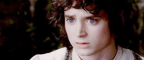 Frodo GIF - Find on GIFER