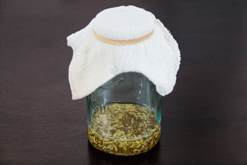 Jar GIF - Find on GIFER