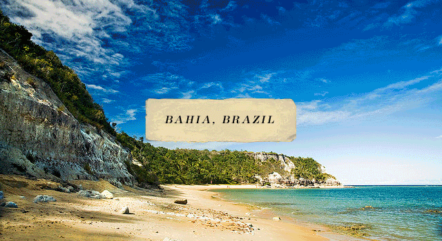 GIF brazil - animated GIF on GIFER