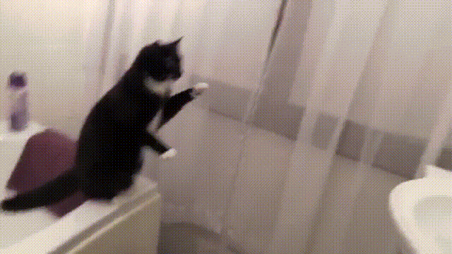 GIF self realization - animated GIF on GIFER