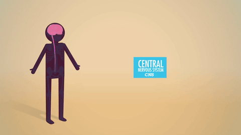 Nervous GIF - Find on GIFER