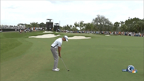 Perfect rory mcilroy golfer GIF - Find on GIFER