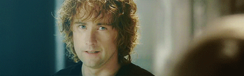 Pippin GIF - Find on GIFER