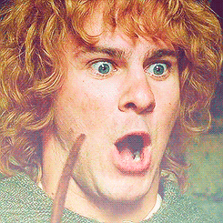 Merry And Pippin Gif
